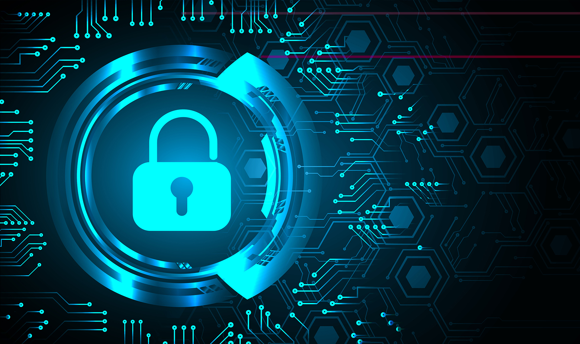 The Cyber Security Leadership Crisis - Savannah Group